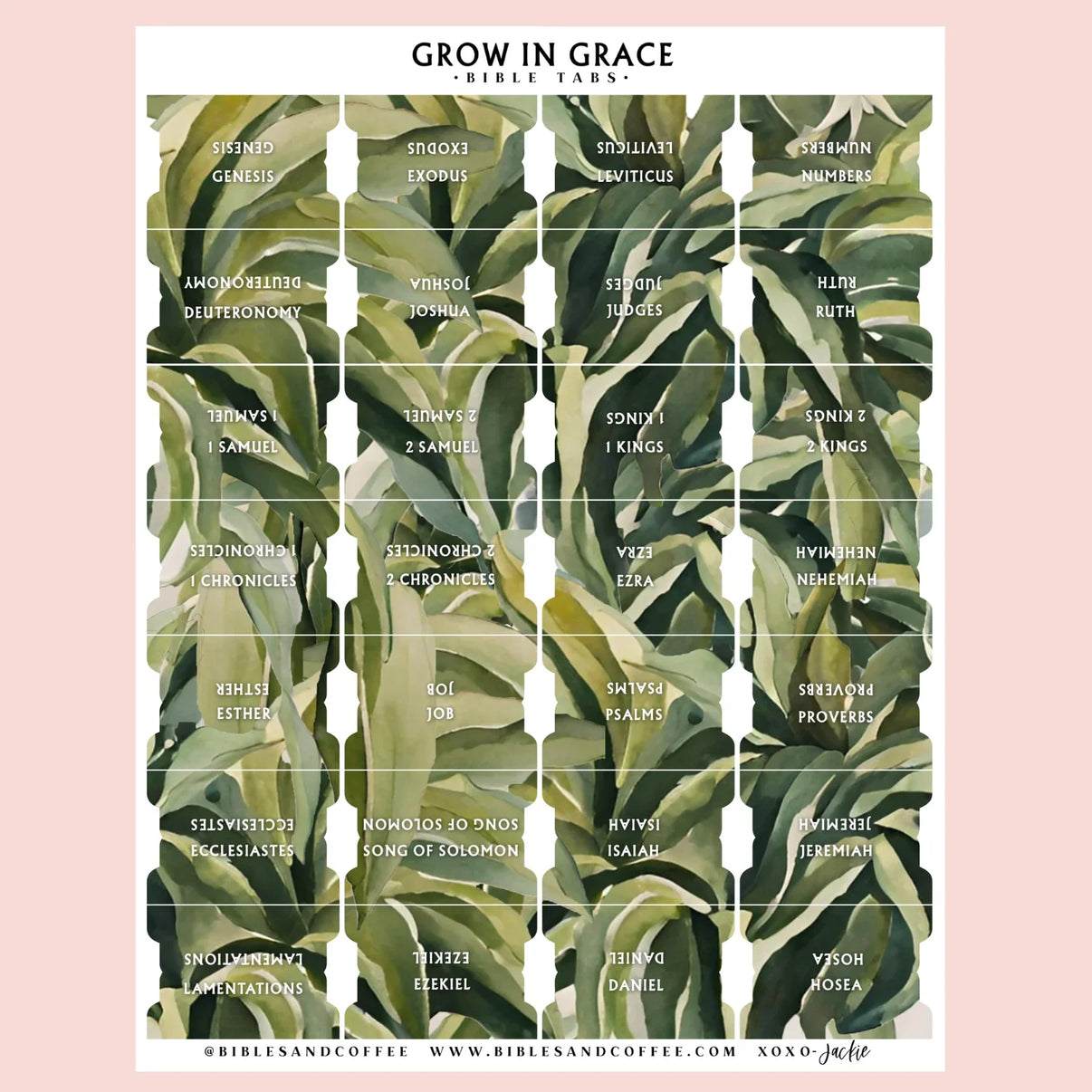 Grow in Grace Bible Tabs - Peel and Stick Bible Book Tabs – Bibles and ...