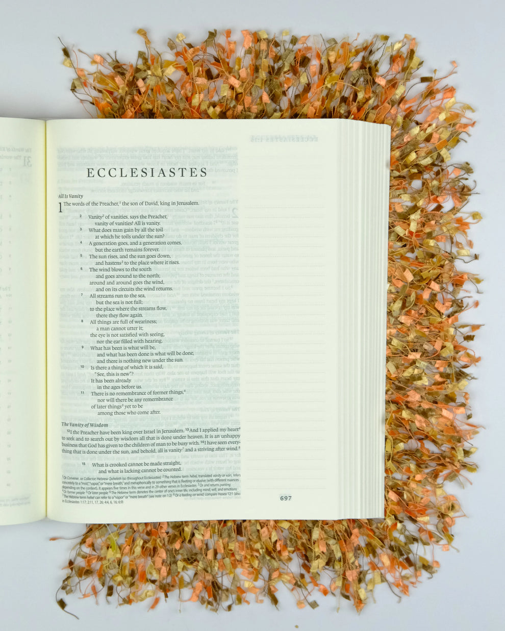 Harvest Praise - Bible Fringe - Your Bibles favorite accessory – Bibles ...