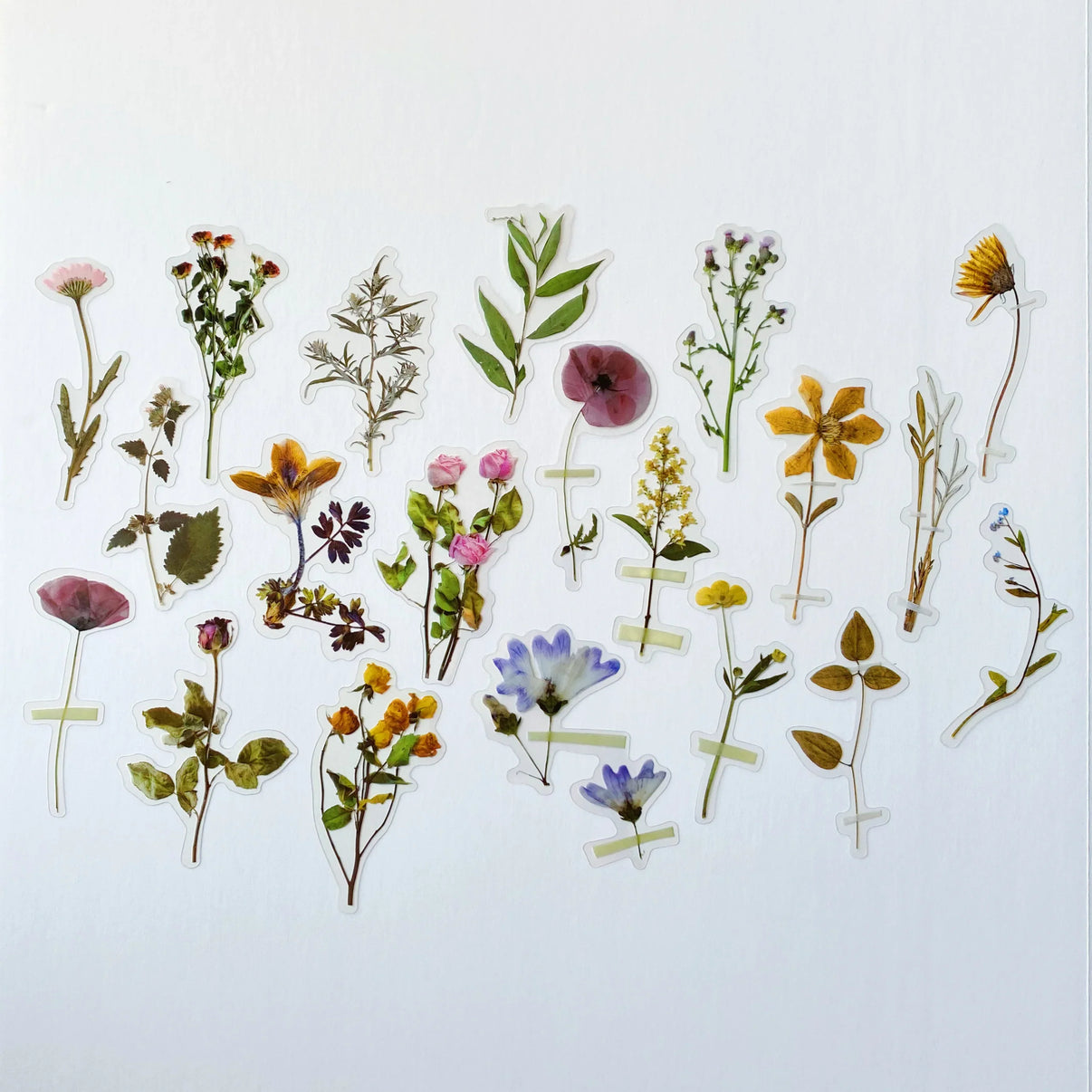 Wildflowers Journaling Sticker Pack (20ct) – Bibles and Coffee