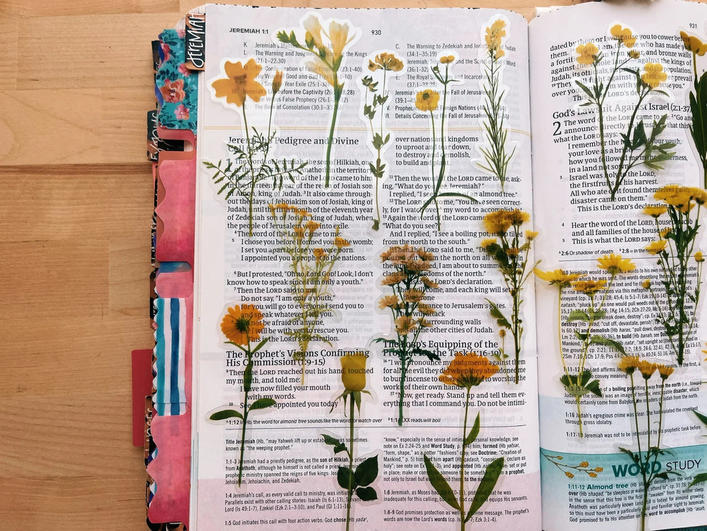 Sunny Days Journaling Sticker Pack (20ct) – Bibles and Coffee